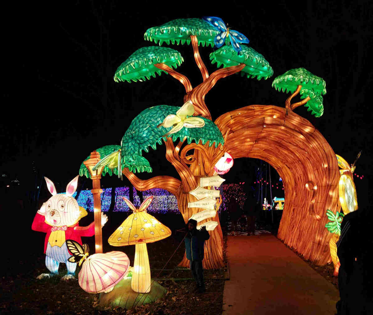 Everything You Need to Know About the Popular Garden of Lights in ...