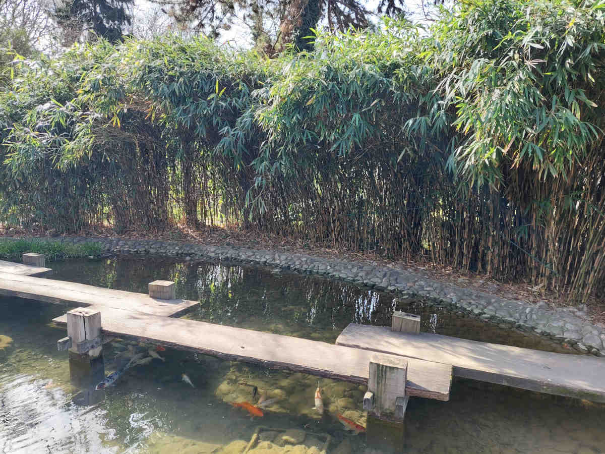 Discover Jevremovac Botanical Garden, Beautiful Plant Life in Belgrade ...