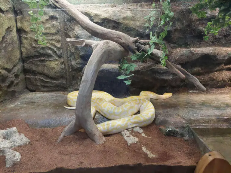 Belgrade Zoo: Everything You Need to Know Before Visiting - Be in Belgrade