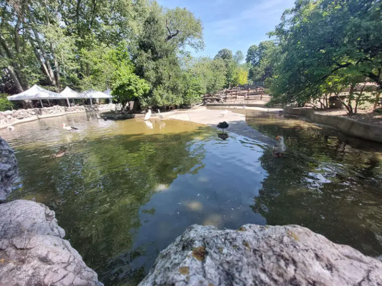 Belgrade Zoo: Everything You Need to Know Before Visiting - Be in Belgrade