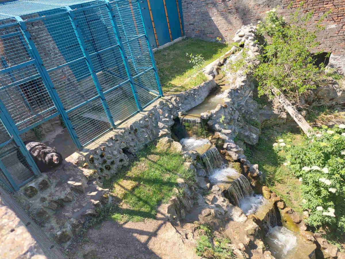 Belgrade Zoo: Everything You Need to Know Before Visiting - Be in Belgrade