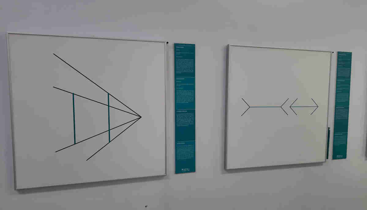 Museum of Illusions Belgrade: Your Ultimate Guide - Photos & Review ...